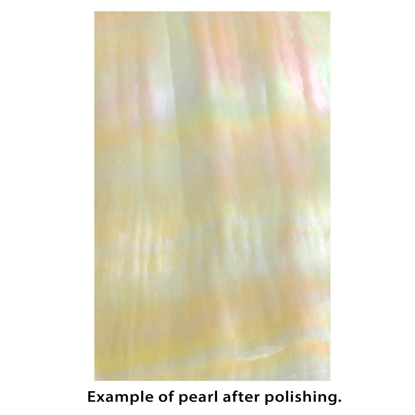 Pearl Inlay Blanks - 1oz Pack - StewMac