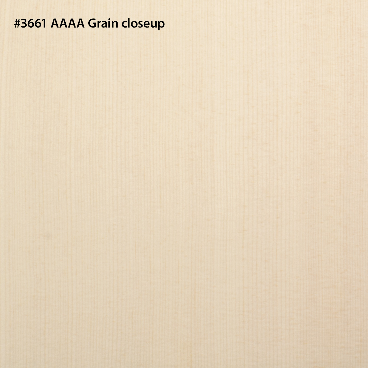 Lutz Spruce Soundboard for Dreadnought Guitar - StewMac