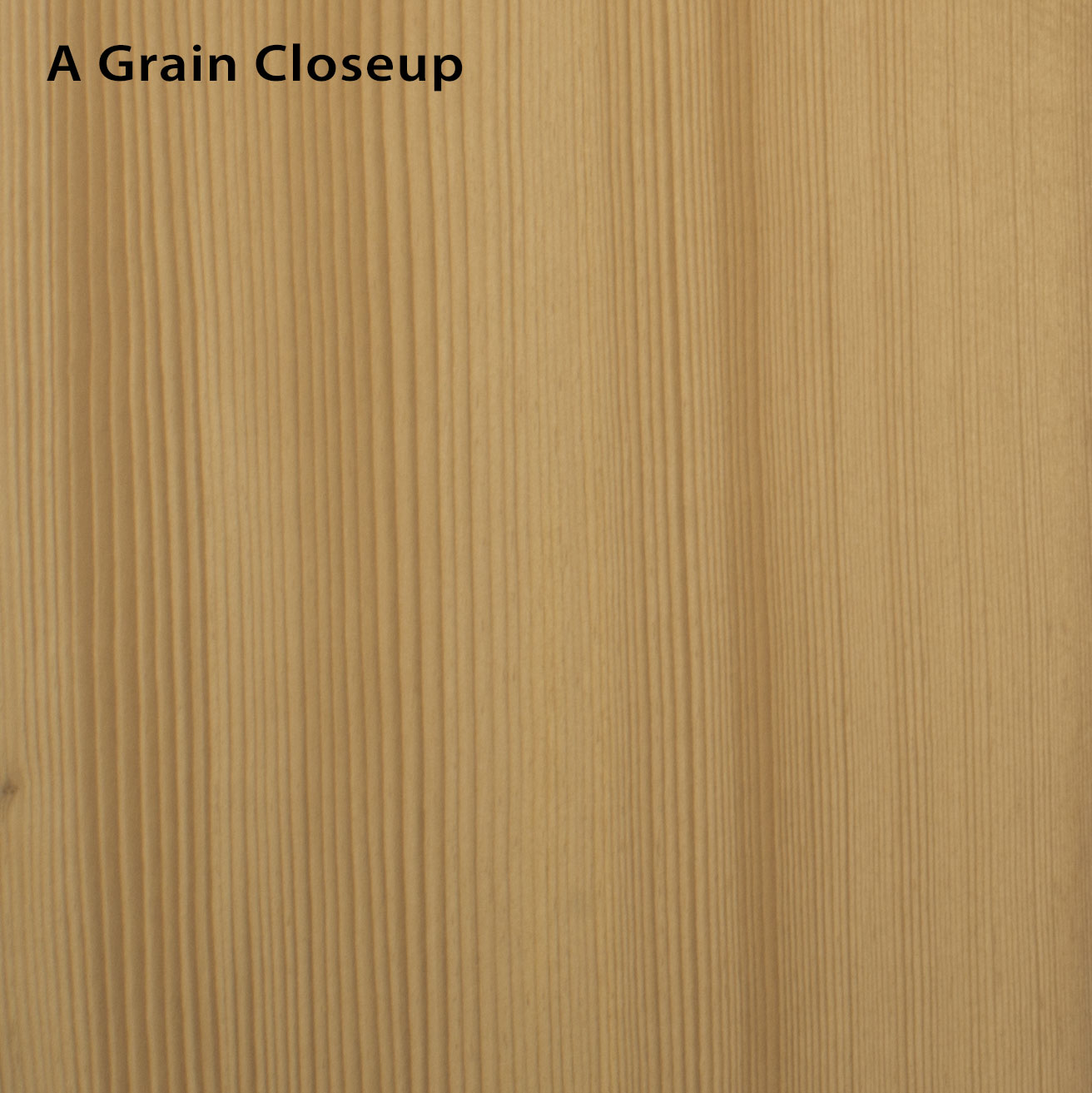 Torrefied Old Growth Red Spruce Soundboard for Dreadnought Guitar - StewMac