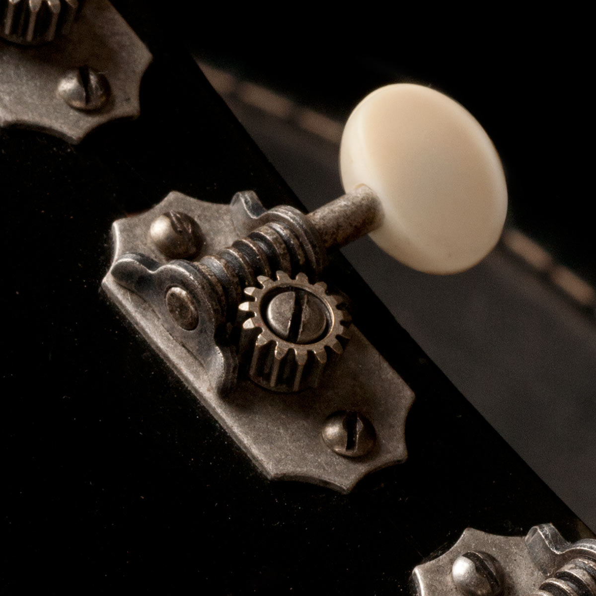 StewMac OM Acoustic Guitar Kit - StewMac