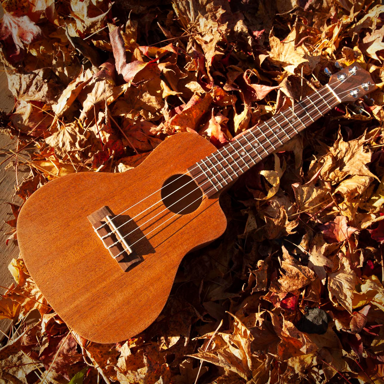 StewMac Cutaway Ukulele Kits - StewMac