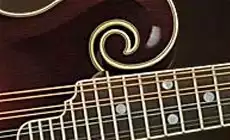 Binding and fretting a Red Diamond mandolin fingerboard - StewMac