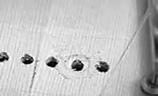 Bridge Plate Repair - StewMac
