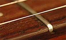 How to see inside a guitar body if you don't have X-Ray Specs - StewMac