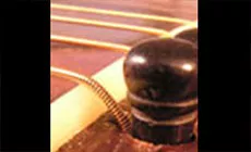 How to see inside a guitar body if you don't have X-Ray Specs - StewMac