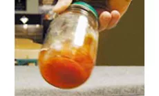 How and why to mix fresh shellac - StewMac