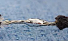 It's a crime to cut pickup leads this short! - StewMac