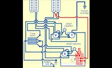 Simple guitar wiring: DIY mods to expand your guitar's tone - StewMac