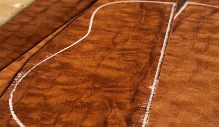 The Tree: The Most Notorious Tonewood in the World - StewMac