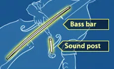 Regluing the bass bar inside a standup bass - StewMac